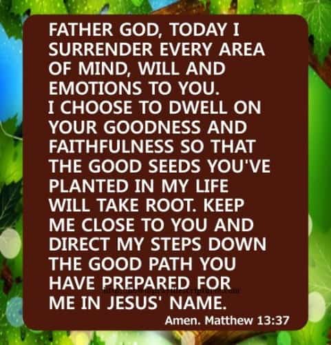 Today I choose To Bloom Where I Am Planted