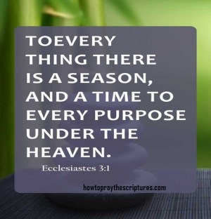 To Every Thing There Is A Season