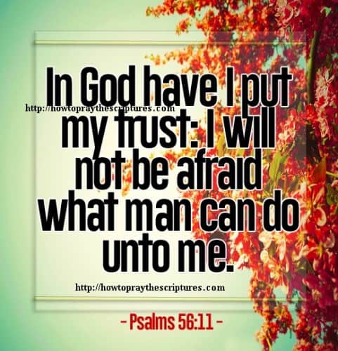 Sports Bible Verses