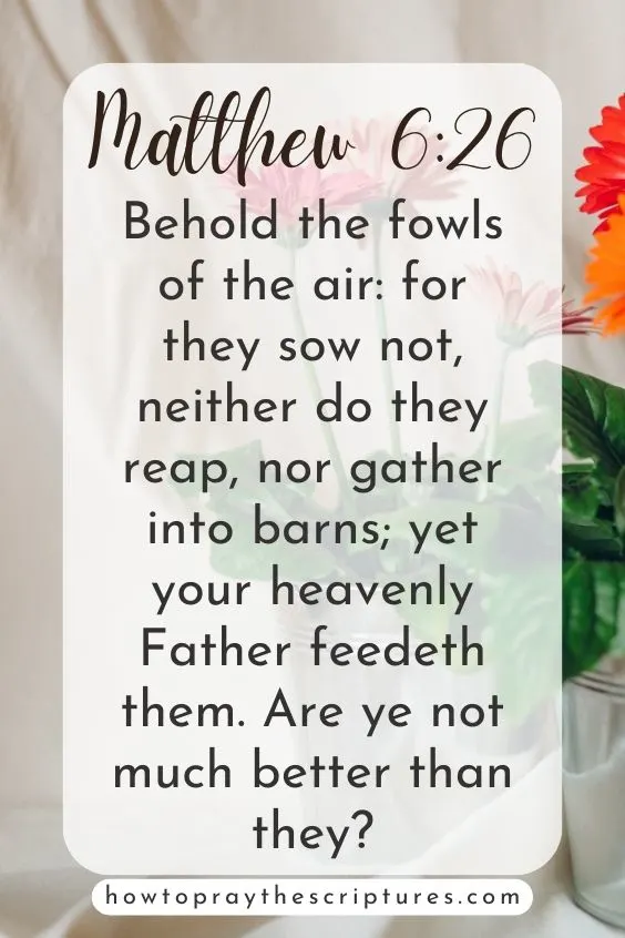 A Cry For Help Prayer