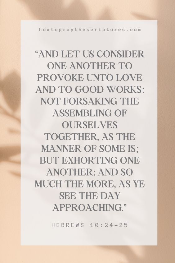 17 Bible Verses About Opening Up To Others