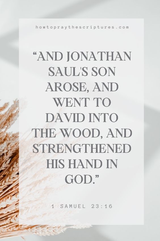 17 Bible Verses About Opening Up To Others