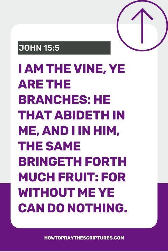 Bible Verses About Not Going Back To Old Ways