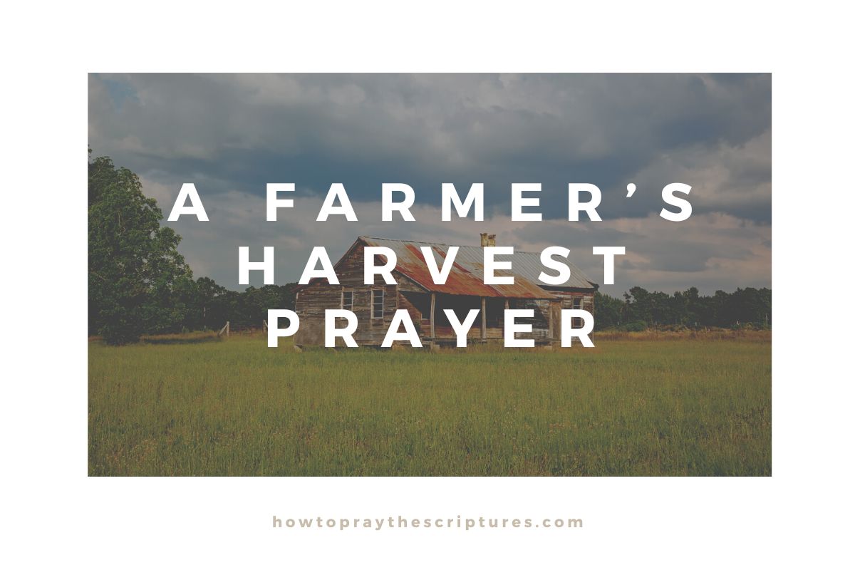A Farmer’s Harvest Prayer