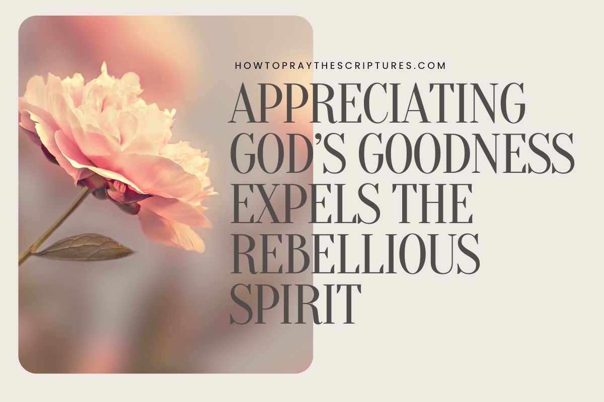 Appreciating God’s goodness Expels the rebellious spirit