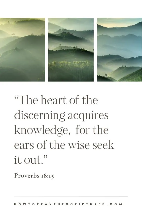 How To Pray Proverbs